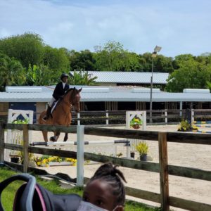 Alexis – Equestrian Bahamas